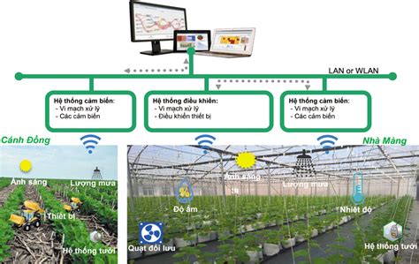 Ứng dụng internet vạn vật ioT và số hóa Giải pháp để nông nghiệp