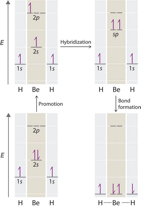 Hybridization Orbitals Chart