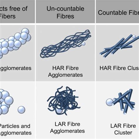 Illustration Of The Seven Object Categories Used To Categorize The SEM Download Scientific