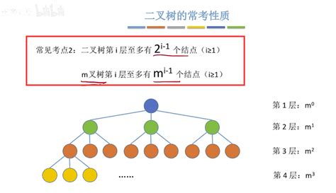 数据结构 二叉树的常考性质 CSDN博客