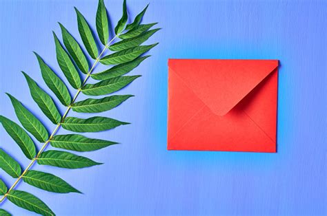 파란색 콘크리트에 큰 녹색 잎 근처 빨간색 폐쇄 봉투 하나 공란에 대한 스톡 사진 및 기타 이미지 공란 긁힌 녹색 Istock