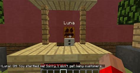 I Used The New Commands To Make A Fully Scripted Npc Character And