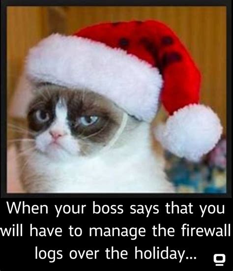 Cyfer Tech On Linkedin Cybersecurity Peacefulholidays Cyfertech Grumpycat Christmasgrumpycat…