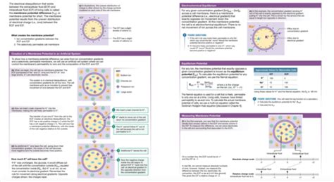 Review Questions Chapter 5678 Flashcards Quizlet