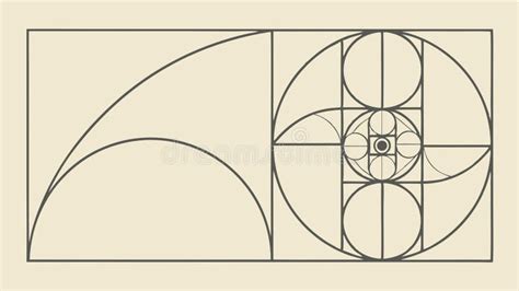 fibonacci spiral pattern mathematical ratio and natural design vector