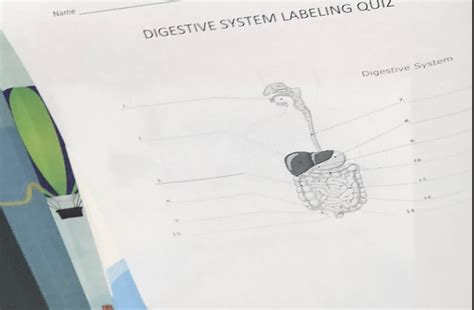 Digestive System Labeling Diagram Quizlet