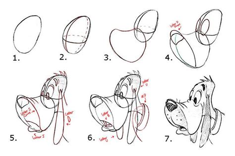 Как нарисовать морду собаки карандашом поэтапно ребенку