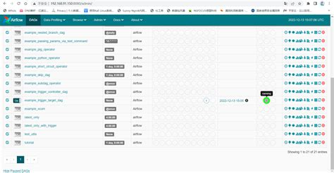 apache airflow 示例dag中的命令注入（cve 2020 11978） 哔哩哔哩