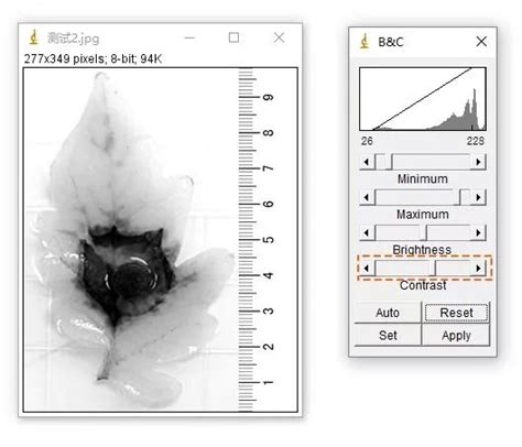 如何用imagej测量图片不规则区域面积？