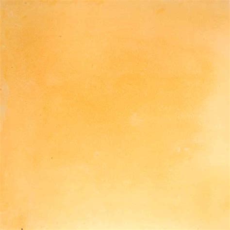 Encaustic Tiles Milagros