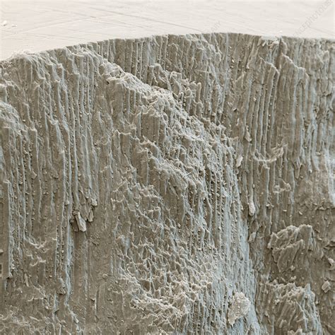 Tooth Enamel Sem Stock Image P486 0112 Science Photo Library