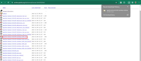 Upgrading Tomcat From 90x To 9083