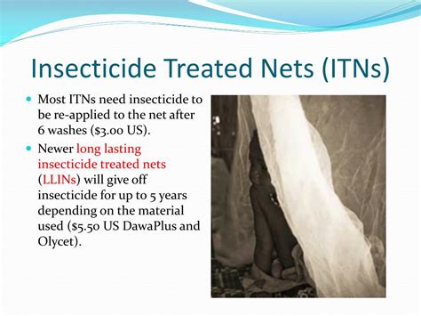 Ppt Protecting Against Mosquito Borne Diseases With Nets Powerpoint
