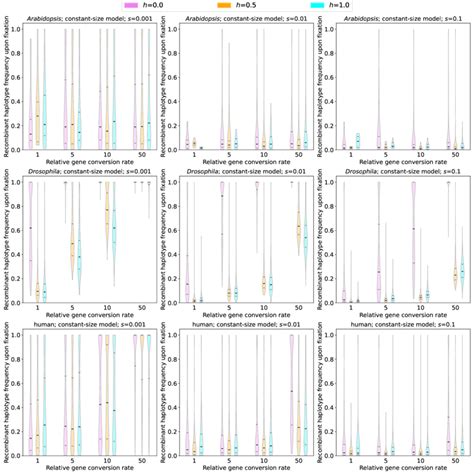 The Sample Frequency Of Recombinant Ab Haplotypes Upon Fixation For
