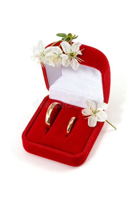 Trouwringen En De Lentebloemen Stock Afbeelding Image Of Viering Gebeurtenis 5250095