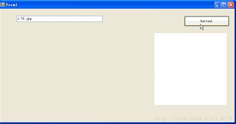 C中的form，textbox，bitmap，picturebox，button，webbrowser Csdn博客