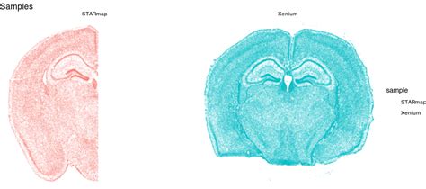 Jefworks Lab Aligning Spatial Transcriptomics Data With Stalign