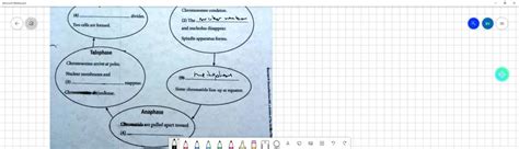 solved 2 draw a concept map that connects important concepts across