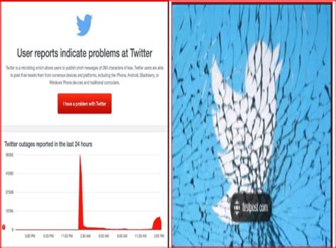 Elon Musk Sets Temporary Twitter Limits On Usage Users Had Short Term Outages Usa Herald