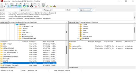 how to share file from host machine windows to guest machine linux