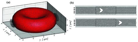 A Few Applications Of Moving Particle Semi Implicit Mps And Smoothed