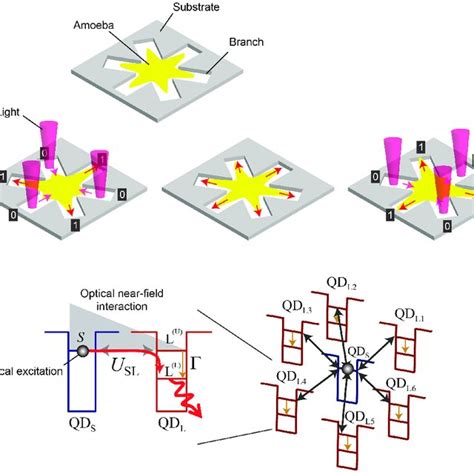 Solution Searching Based On Stochastic Spatiotemporal Dynamics A Download Scientific Diagram
