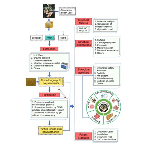 Figure Schematic Diagram Of Extraction Purification Basic Structure Download Scientific