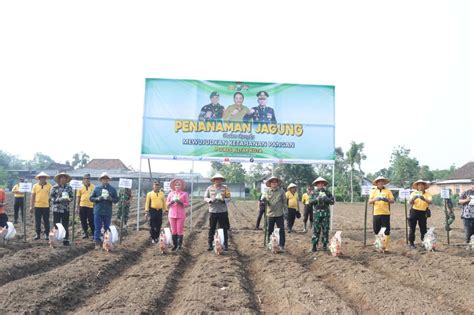 Wujudkan Ketahanan Pangan Mandiri, Polres Blitar Kota Bersama Masyarakat Tanam Jagung di Lahan ...
