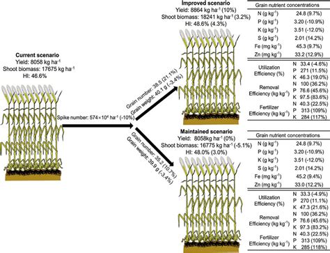 Grain Yield Grain Nutrient Concentrations And Nutrient Use Efficiency Download Scientific