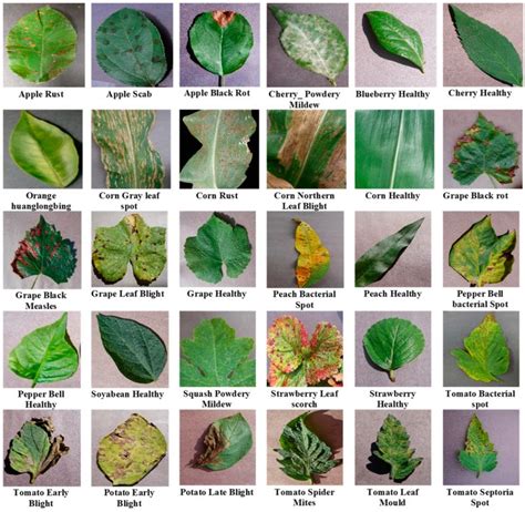 agronomy mdpi on linkedin mdpiagronomy