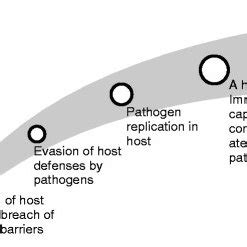 PDF A Review On Host Pathogen Interactions Classification And Prediction
