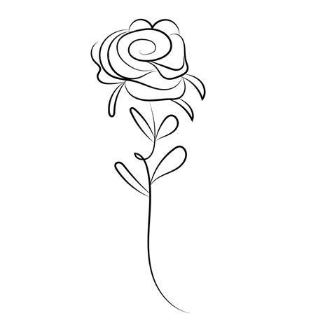 Rose Liner Vector Cute Rose Rose Art Rose Png And Vector With