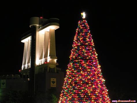 Обои Праздничные Ёлки обои для рабочего стола фотографии праздничные Ёлки Обои для рабочего