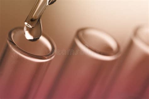 Scientific Experiments With Cockroach In The Laboratory Stock Image Image Of Life Control