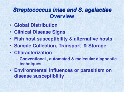 Ppt Identification And Epidemiology Of Streptoccocus Iniae And S