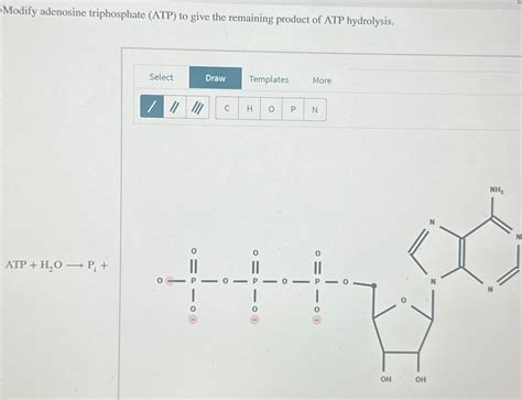Solved Modify Adenosine Triphosphate Atp ﻿to Give The