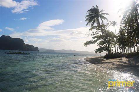 Heres How Dot And Tpb Are Digitizing Philippine Primer