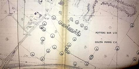 Lost Tree Preservation Orders Could Protect Green Belt Site Hertsmere Labour Party