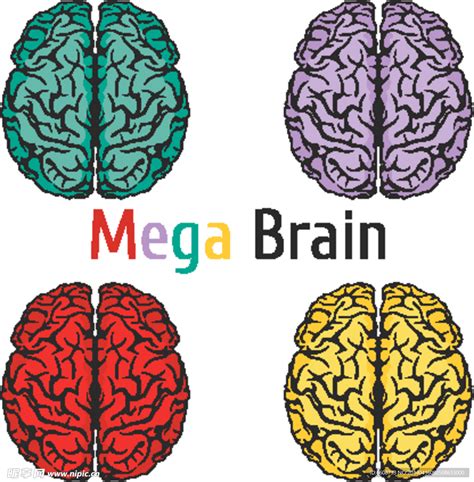 人脑大脑结构设计设计图 医疗保健 生活百科 设计图库 昵图网