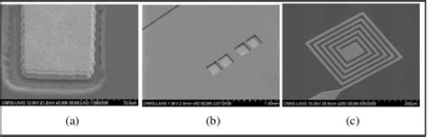 sem pictures of the different steps processing download scientific