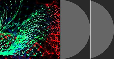 list optimization curated by jakob weber medium