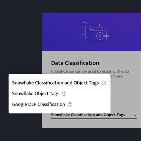 Sensitive Data Classification