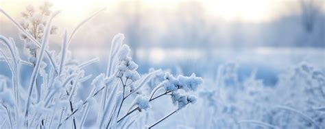 Ai Generated Frozen Snowy Grass Winter Natural Abstract Background