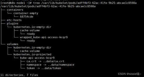 Kubernetes中的持久化存储选项：emptydir、hostpath与nfs Csdn博客