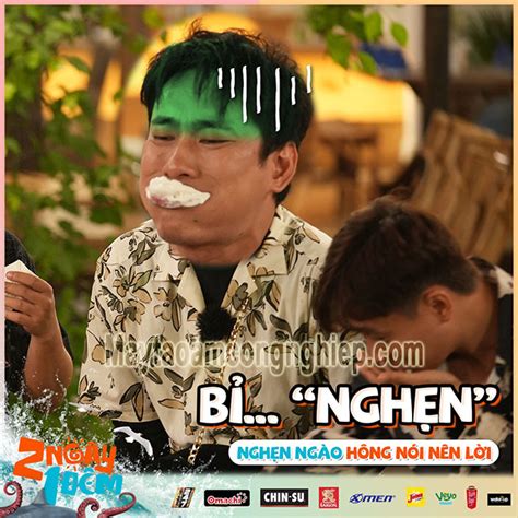 Hoa Bỉ Ngạn Có ý Nghĩa Gì Tìm Hiểu ý Nghĩa Của Các Màu Hoa Bỉ Ngạn