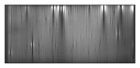 El Image Cdte Module Injected Current 01 A Download Scientific