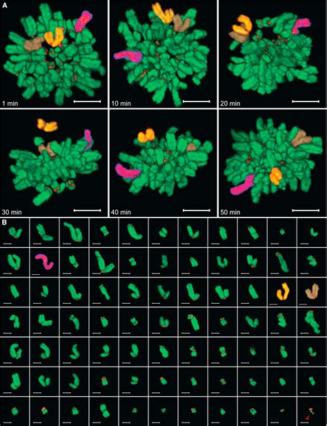 Figure 5 From Noninvasive Imaging Beyond The Diffraction Limit Of 3d