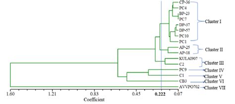 relationship among the 16 chili genotypes based on 16 traits using sahn