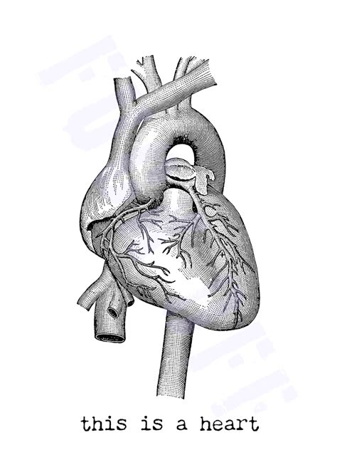 Cursed Valentines Day Cards Please Have Sex With Me