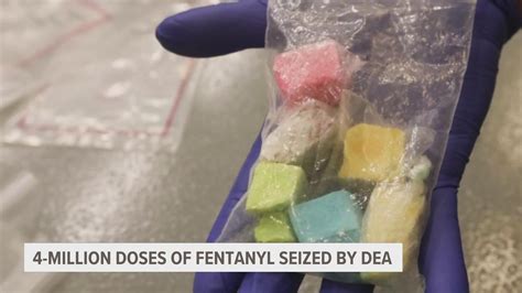 Four Million Deadly Doses Of Fentanyl Seized In Michigan And Ohio